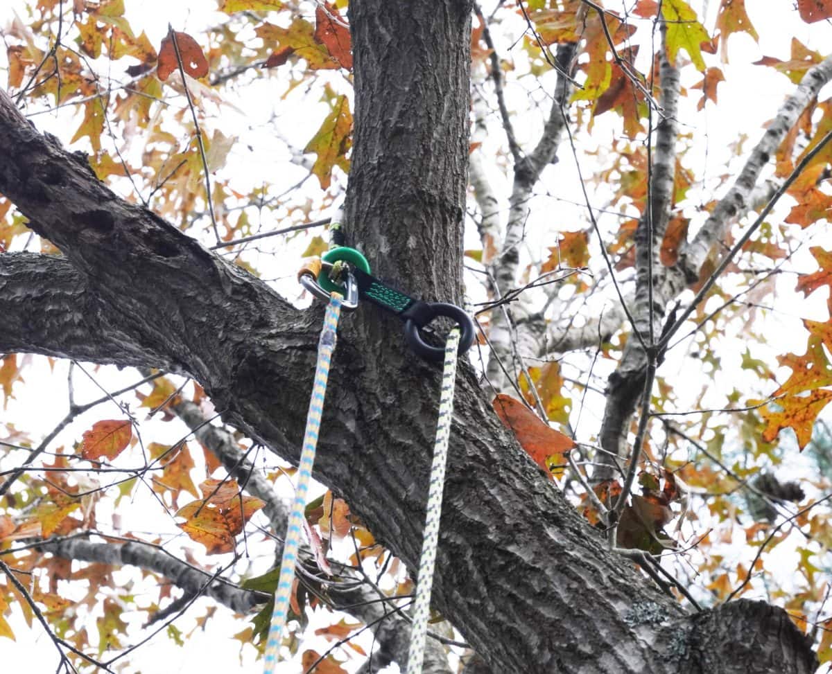 The BuckSLAP™ - 3913 - Buckingham Manufacturing